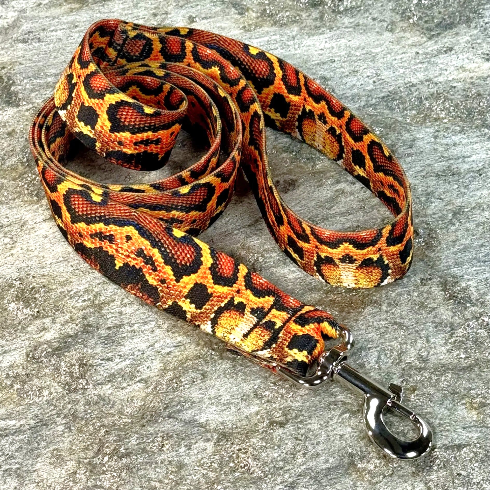 Rainbow Boa Snake Print Dog Leash | Made in USA – NW Straps